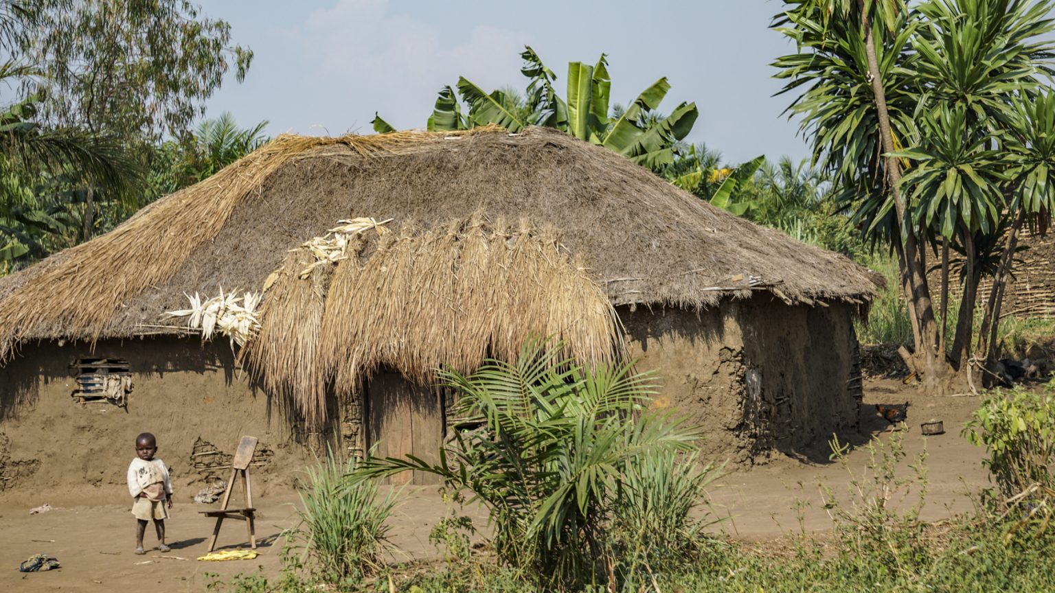 Kimbé’s World – Anthrow Circus